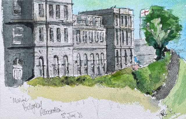 Watercolour - Stu Anderson